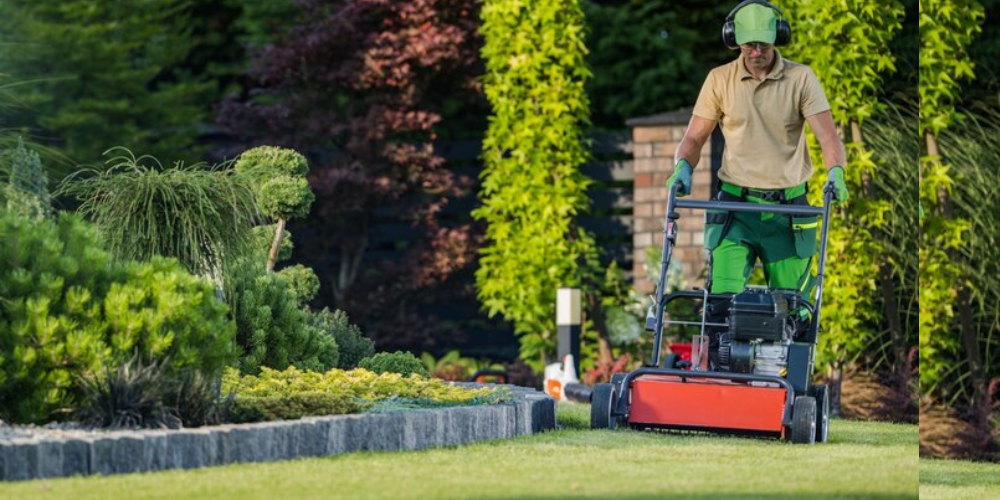 How to Start a Landscaping Business - 10 Simple Steps